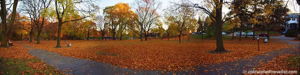 Photo Essay: High Park Toronto Through the Seasons