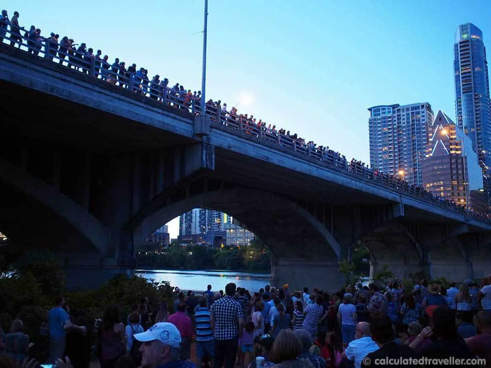 A Daring Date with the Bats of Austin Texas