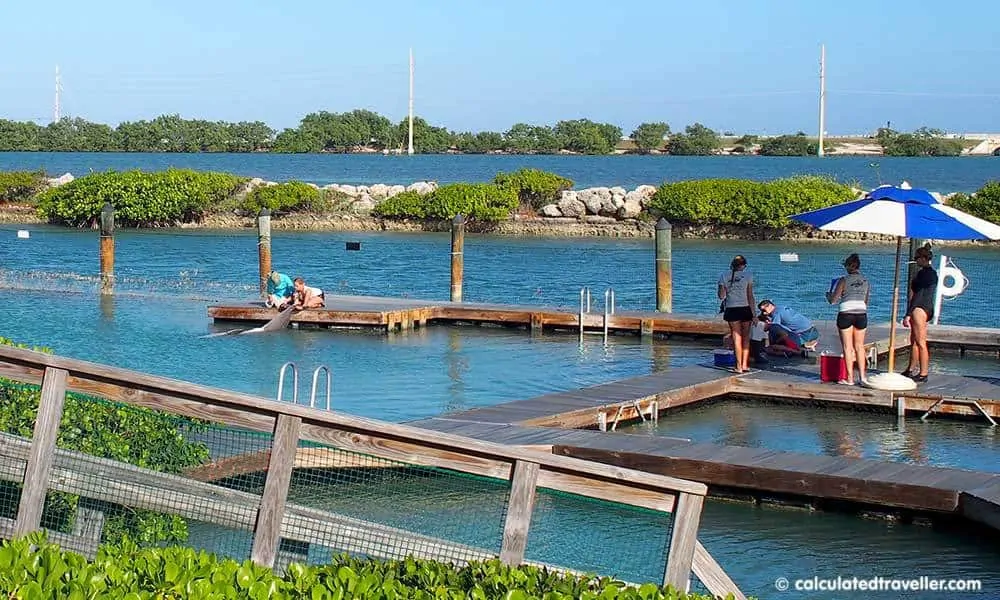 Tranquillity at Hawks Cay Resort Duck Key Florida