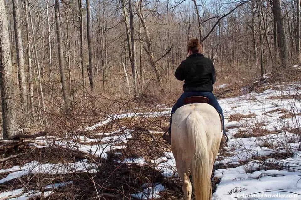 Painted Bar Stables Horseback Riding - Watkins Glen New York