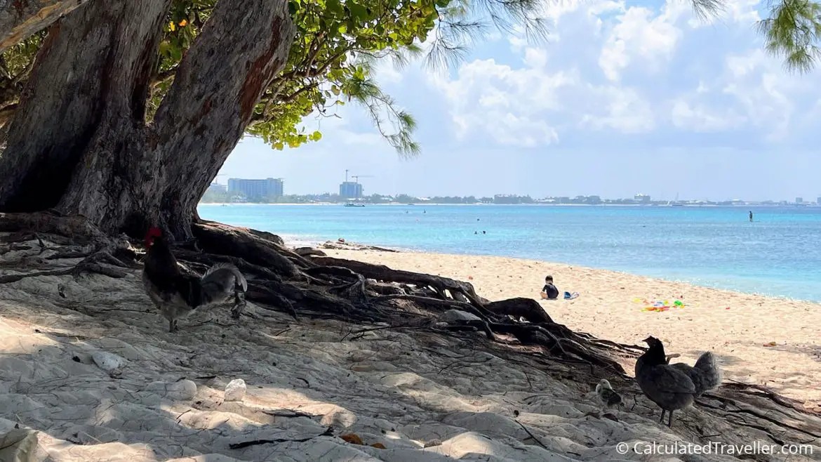 Chilling at West Bay Cemetery Beach Grand Cayman
