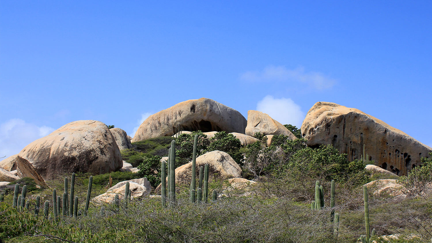 24 Non-touristy and Unique Things to Do in Aruba